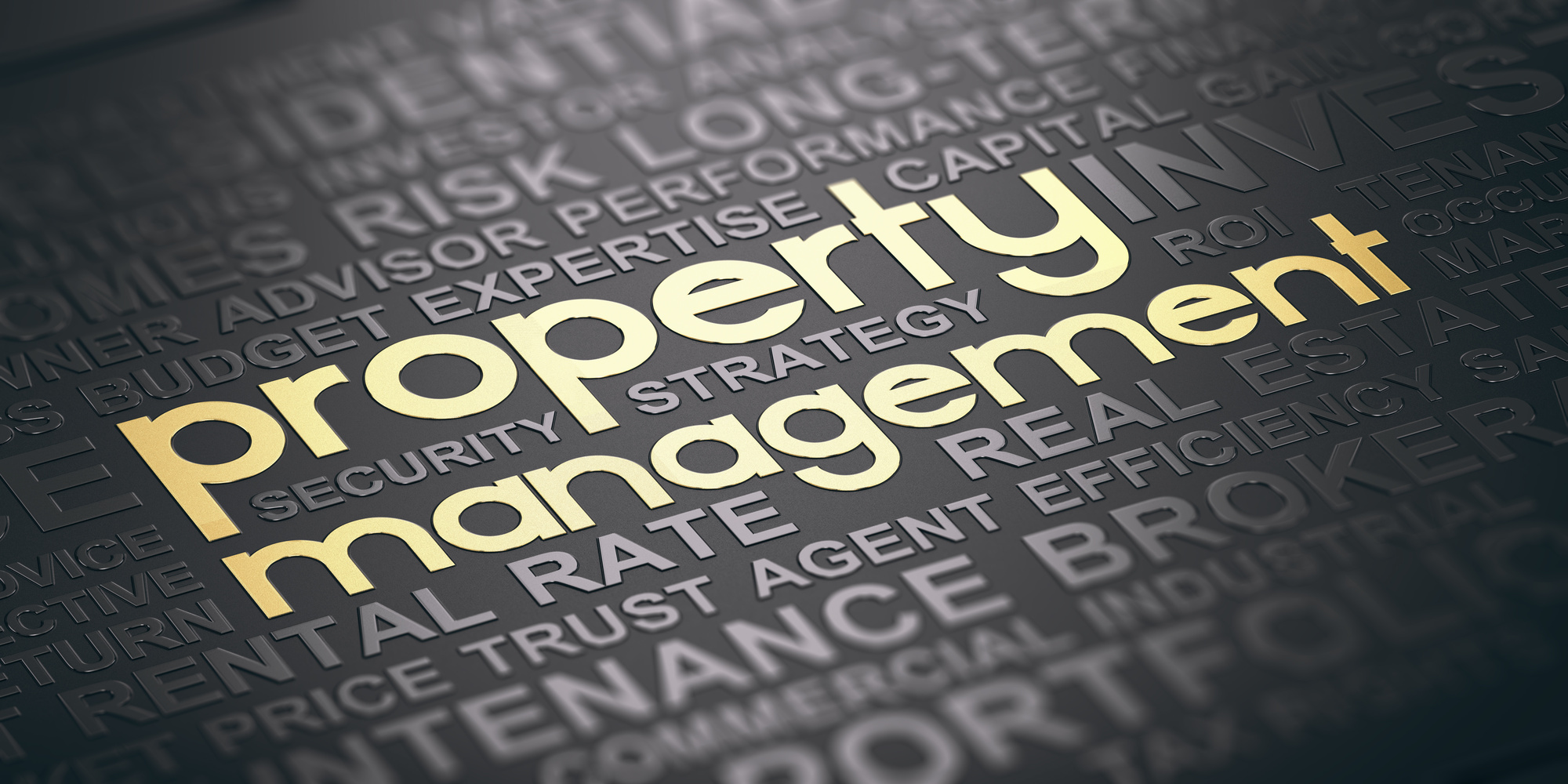 Real Estate Property Management: Screening Tools You Need To Know